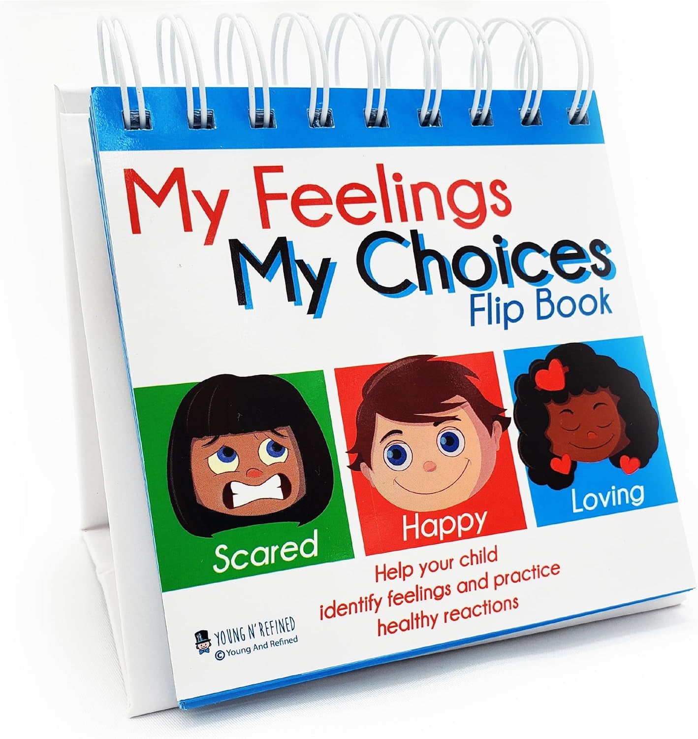 My Feelings My Choices Flip Book Tool for Teaching Processing 22 Diffe ...